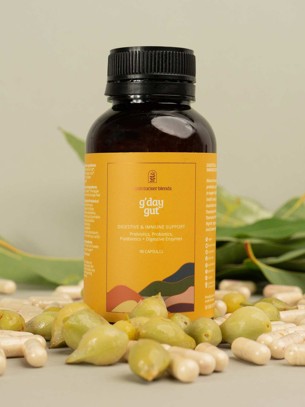 Gut Health Powder | Probiotic, Prebiotic Supplements Australia