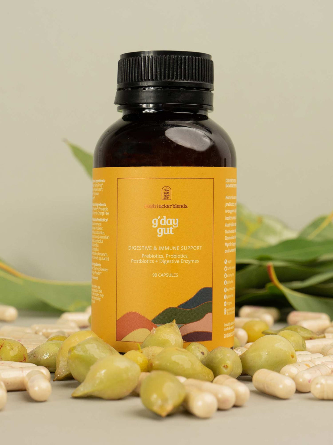 Gut Health Powder | Probiotic, Prebiotic Supplements Australia